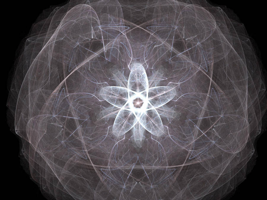 December 27; Powerful magnetic forces in our body | Universe of Dahee